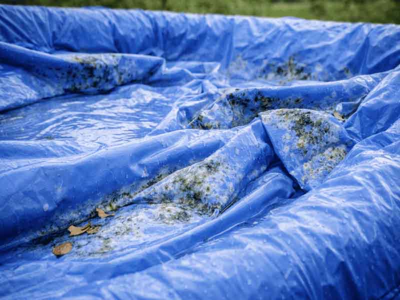 How To Remove Mold From Inflatable Pools A Complete Guide For Clean
